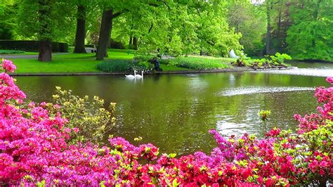Lake Flowers Wallpapers Wallpaper Cave