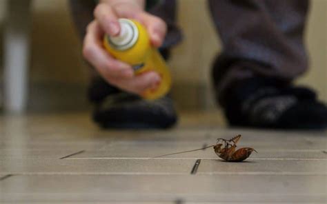 How To Keep Bugs Out Of A Storage Unit Ministorage