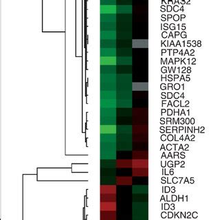 Hierarchical Cluster Analysis Of Differentially Expressed Genes Each