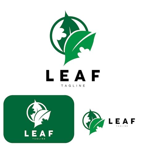 Logotipo de hoja verde ecología planta natural vector naturaleza diseño