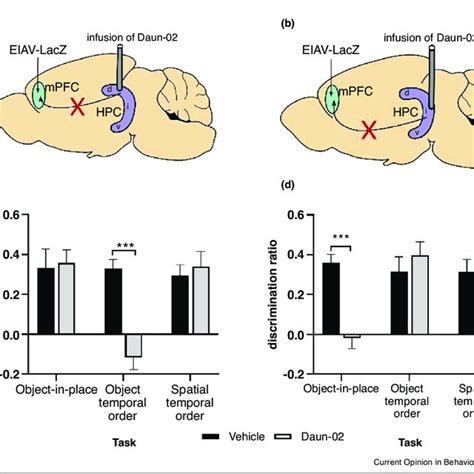 pdf multi level analyses of associative recognition memory the whole is greater than the sum