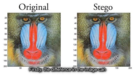 my006 fpga implementation of rgb pixel based least significant bit secured steganography youtube