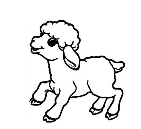 Ovelha Para Impress O Para Colorir Imprimir E Desenhar Coloringlib