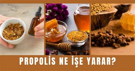 Propolis Nedir Propolis Ne İşe Yarar Nasıl Kullanılır