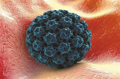 VIDEO Qué tenemos que saber sobre el virus del papiloma humano