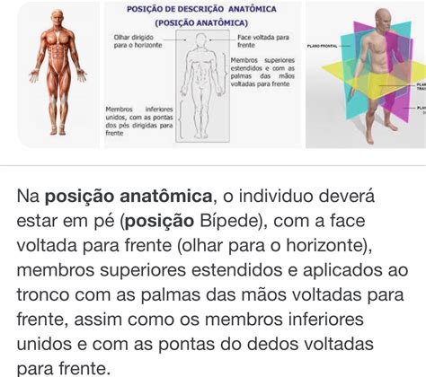 O Que é A Posição Anatômica SOLOLEARN