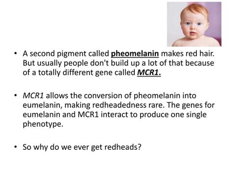 patterns of inheritance non mendelian inheritance ppt