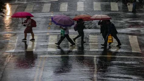 Chuva provoca inundação queda de árvores e derruba muro de contenção
