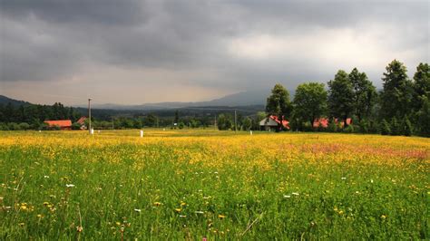 Prognoza pogody na dziś ciepło ale popada i zagrzmi TVN Meteo