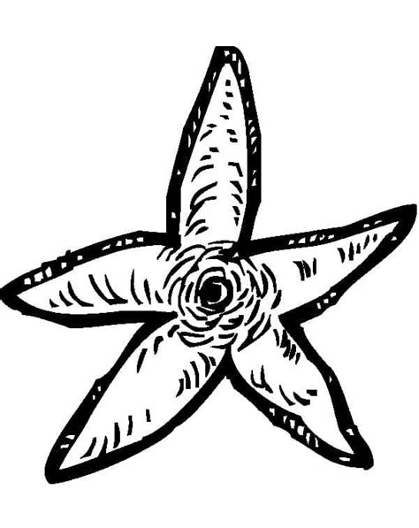 Coloriage Étoile de Mer 1 télécharger et imprimer gratuit sur