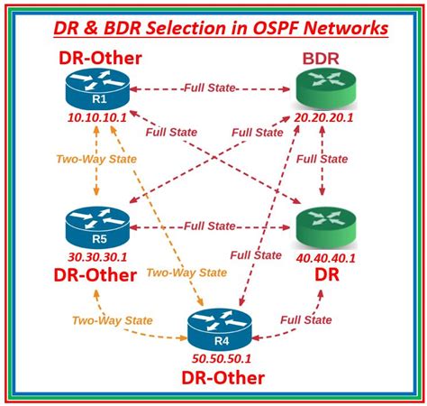 facts about dr and bdr selection in ospf the network dna