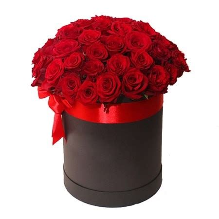 Top 100 arreglos florales para graduación universitaria Abzlocal mx