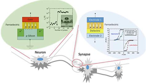 neuromorphic computing between reality and future needs intechopen