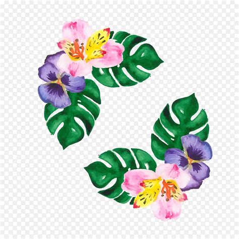 Png Png
