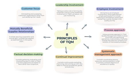 What Are The 8 Principles Of TQM Isolocity