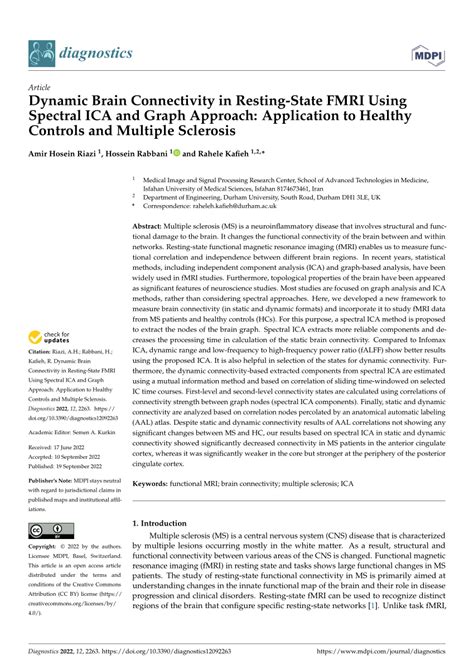 pdf dynamic brain connectivity in resting state fmri using spectral ica and graph approach