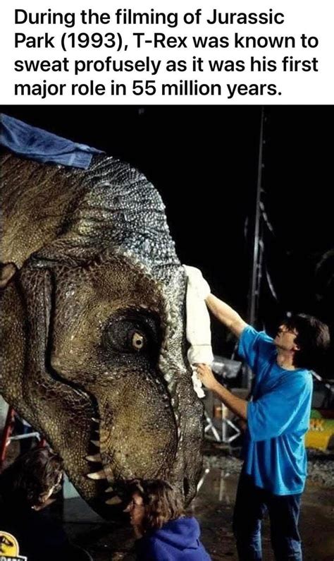 Best T Rex Images On Pholder Dinosaurs Pareidolia And