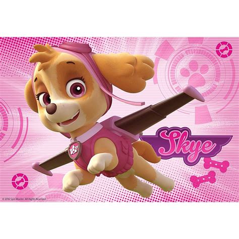 Painel Tema Skye Patrulha Canina 1 00x0 80 Lona Shopee Brasil