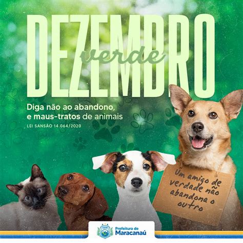Dezembro Verde Alerta Sobre Maus Tratos E Abandono De Animais