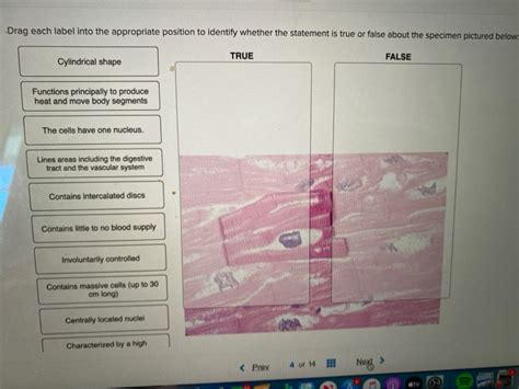 Solved Drag Each Label Into The Appropriate Position To Chegg