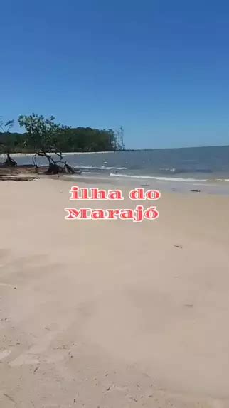 Ilha Maraj Discover