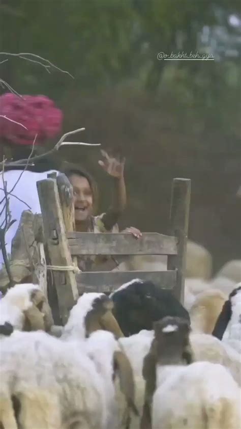 रजसथन ससकत on Twitter धन सध र झपङ फट पप र गव