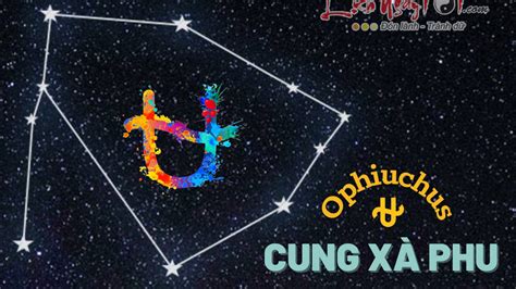 Bộ Sưu Tập Hình Ảnh Cung Xà Phu Với Hơn 999 Hình Ảnh Chất Lượng 4K