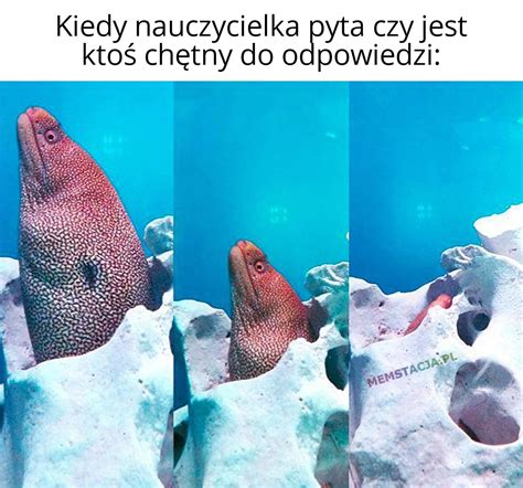 Kiedy Nauczycielka Szuka Ch Tnego Do Odpowiedzi Memstacja Pl
