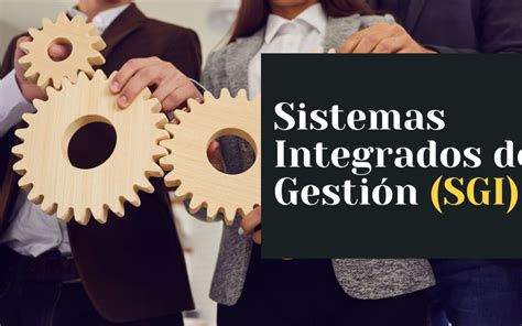 Optimizando Sistemas Integrados De Gesti N Grupo Mcs