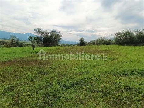 Terreno Agricolo Strada Castiglione Viterbo Rif