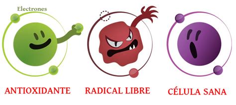 Radicales Libres Qué son y cómo afectan tu salud Teoría Online