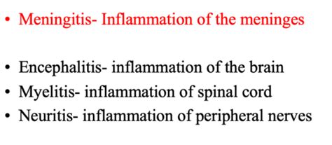 Flashcards Cns Meningitis Encephalitis Myelitis Quizlet