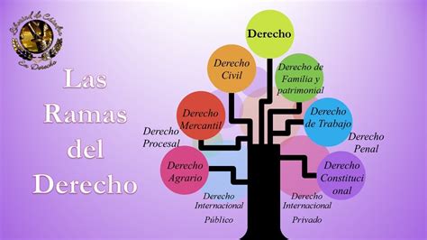 Las Ramas Del Derecho Mexicano Mind Map The Best Porn Website