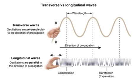 Waves And Sound Flashcards Quizlet