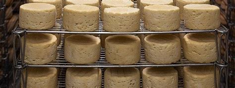 Gastronomía Las bacterias clave del olor y el sabor del queso