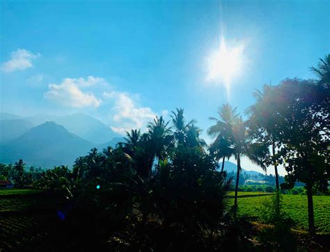 Pemandangan Suasana Pagi Di Kampung Memaknakan Kehidupan Dengan