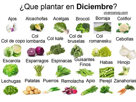 Calendario De Siembra Viveros Roig