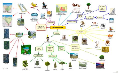Mappa Concettuale LAIF