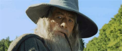 Gandalf Huh Gandalf Huh Lord Of The Rings Discover Share Gifs