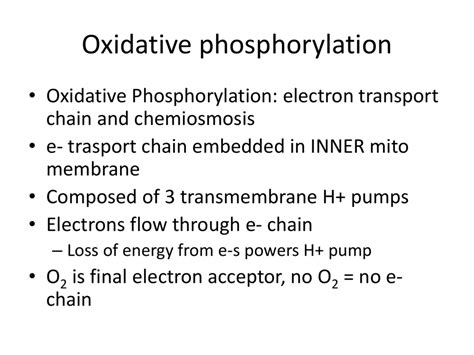 Oxidative Phosphorylation Diagram