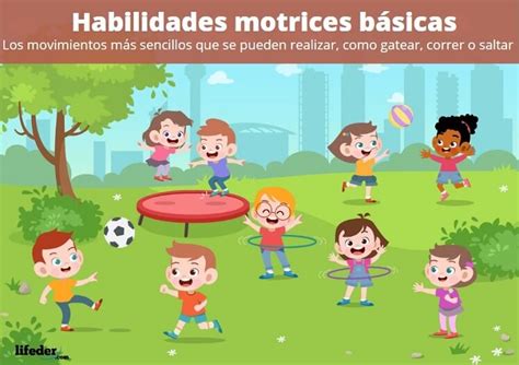 Cuales Son Las Habilidades Motrices Basicas Del Ser Humano Bankfeal