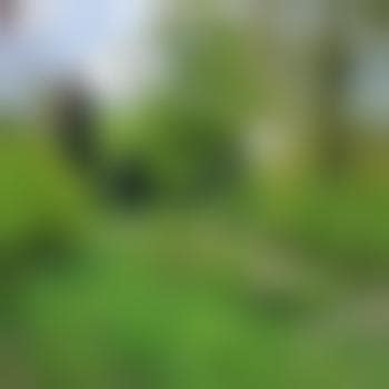 Lost Places In NRW Sex Und Erotik Gruppen