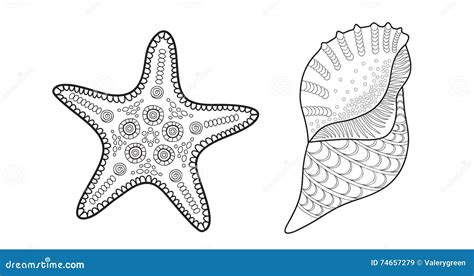 Étoile De Mer Et Coquille Illustration De Vecteur Pour Livre De