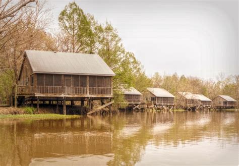 Bayou Camps At Lake Fausse Point State Park Louisiana Bayou State