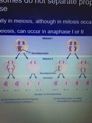 Biol Ch Flashcards Quizlet