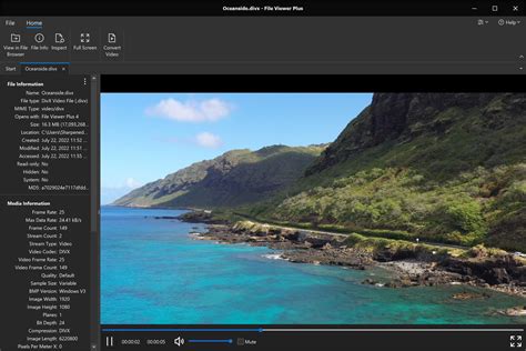 Open DIVX Files With File Viewer Plus