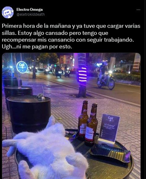 Bad Bunny Te Castiga On Twitter Ganadores La Guarapandilla Siendo