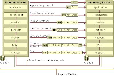 Data Flow In The OSI Model Learn Networking
