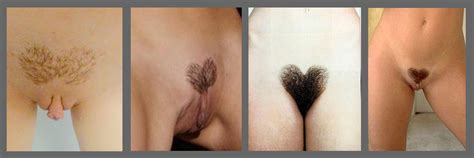 Trimmed Pubic Hair Styles Myzpics