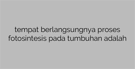 Tempat Berlangsungnya Proses Fotosintesis Pada Tumbuhan Adalah
